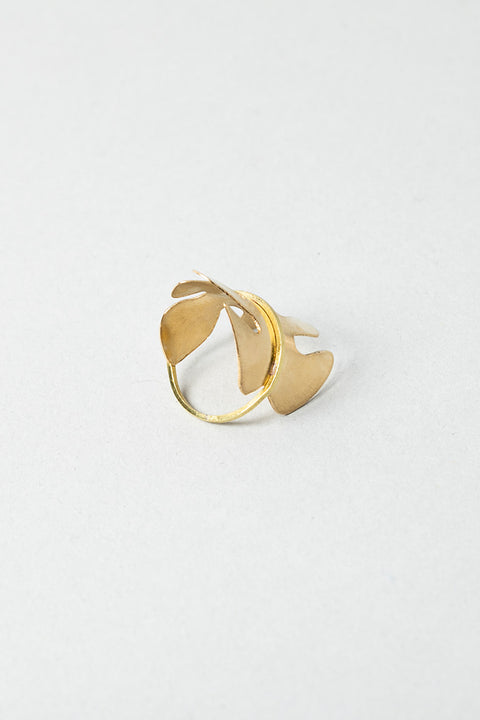 Philodendron Ring – Dominique Ranieri