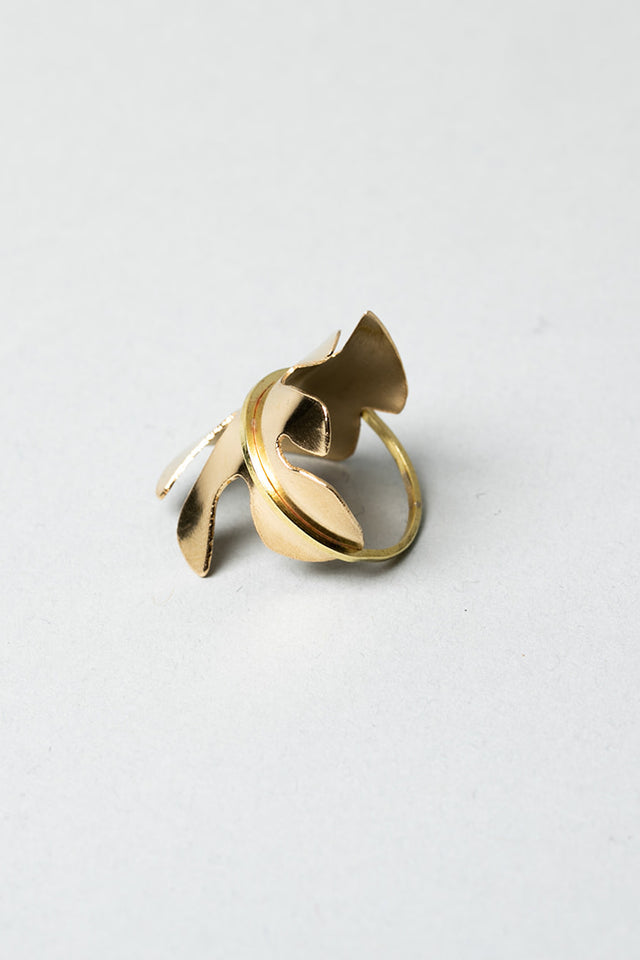 Philodendron Ring – Dominique Ranieri