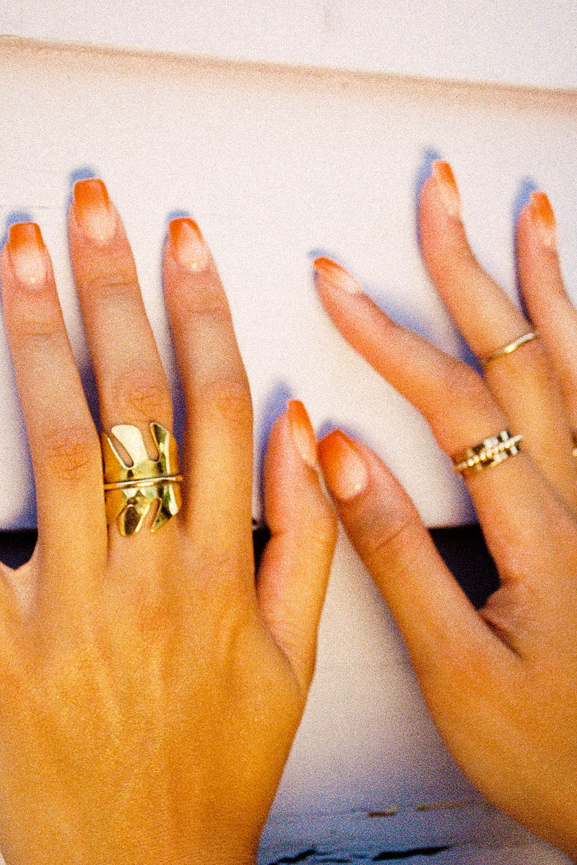 Philodendron Ring – Dominique Ranieri