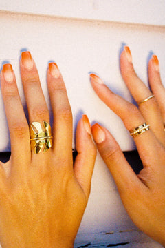 Philodendron Ring – Dominique Ranieri